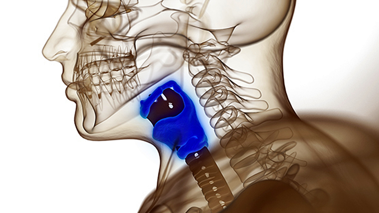 De plus en plus de cancers de la thyroïde diagnostiqués inutilement ...